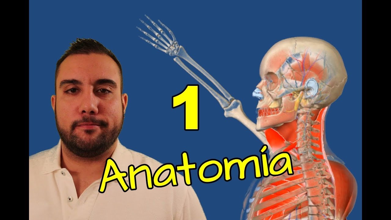 ANATOMÍA BÁSICA Capítulo 1 - INTRODUCCIÓN - YouTube