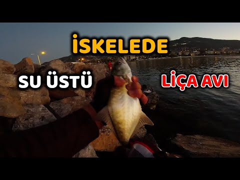 Su Üstü Liça Avı - Alanya İskele | VARSA ALIRIZZZ!!