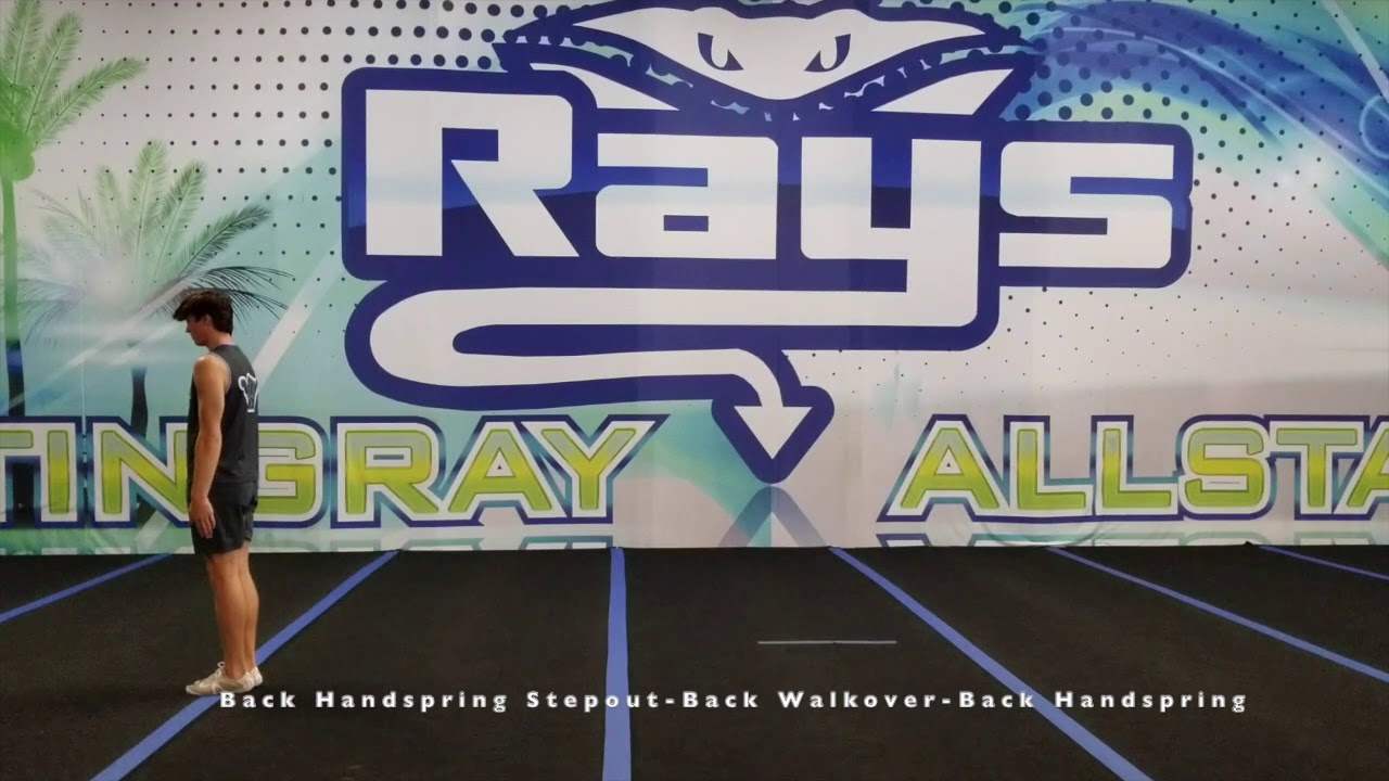 Stingrays Cheer Logo