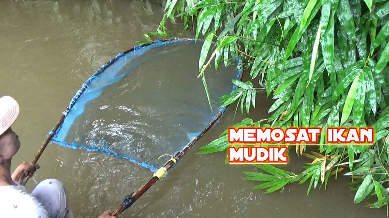 DENGAN ALAT SEDERHANA INI SUDAH BANYAK DAPAT IKAN, MENANGGUK/MEANCAU ...