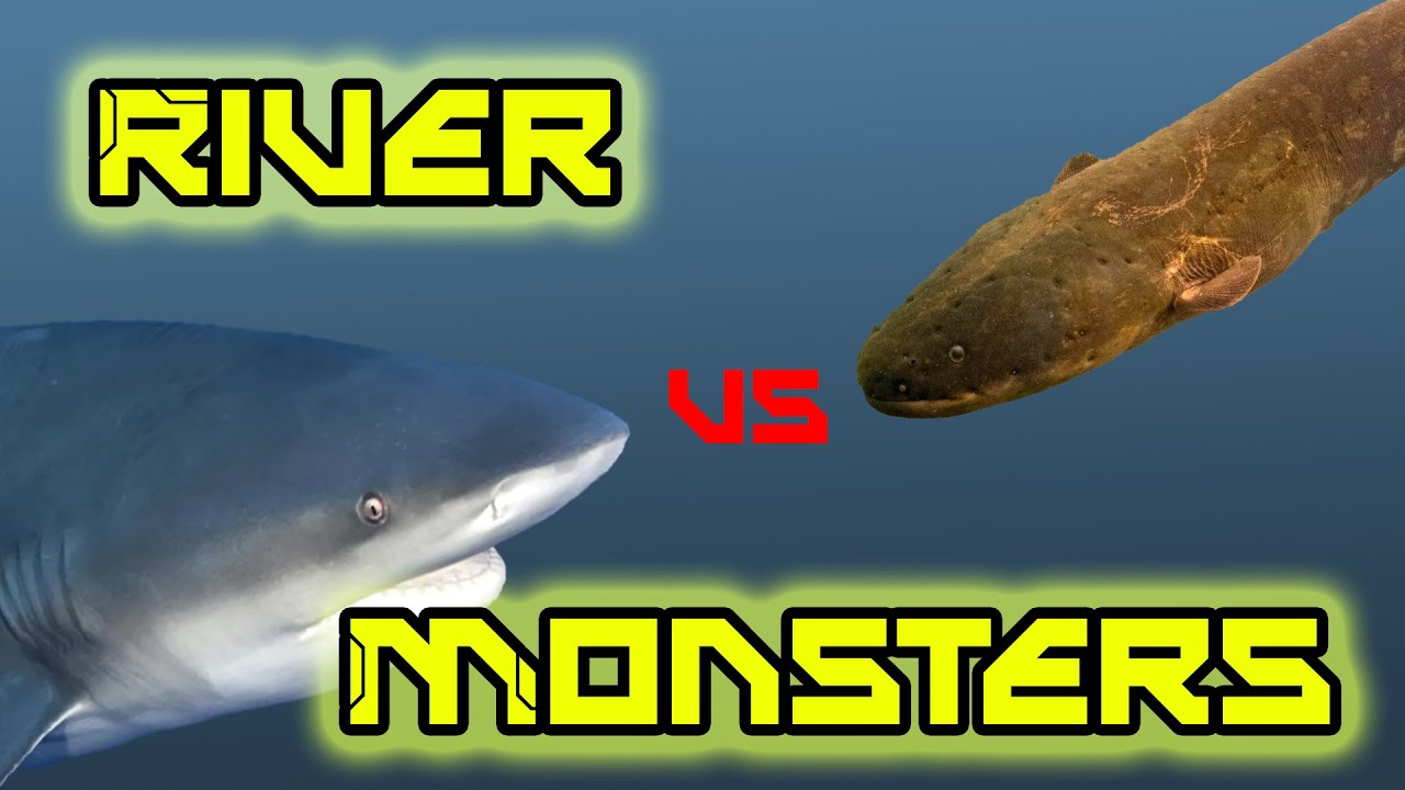 River Beasts: Unveiling the Mysterious Creatures of the Water - YouTube