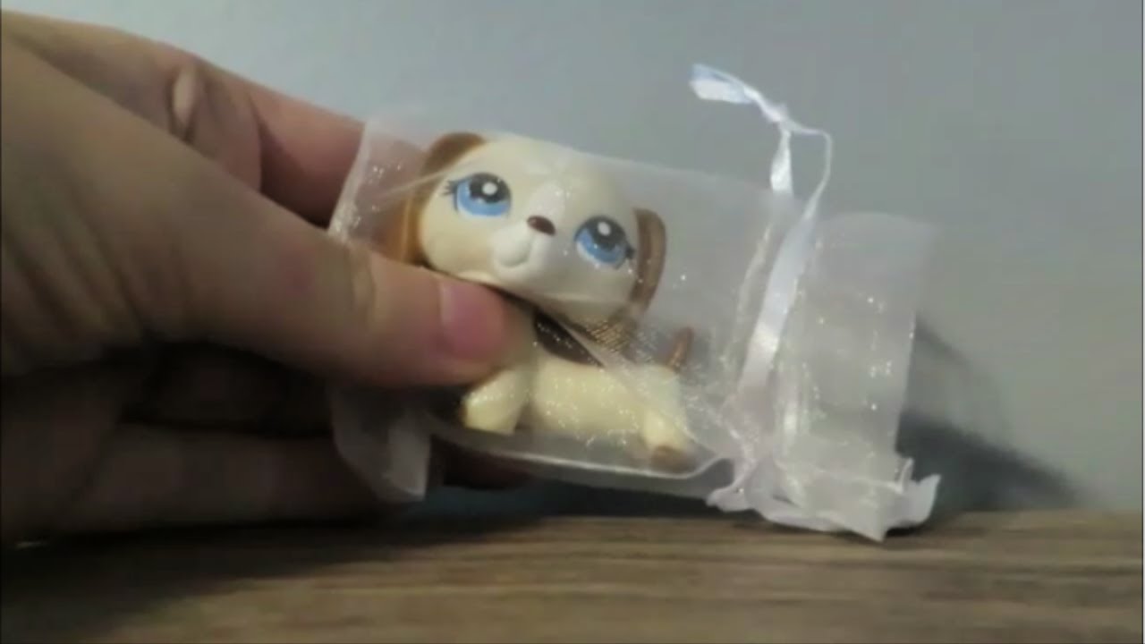 Unboxing LPS Dachshund #1491 - YouTube