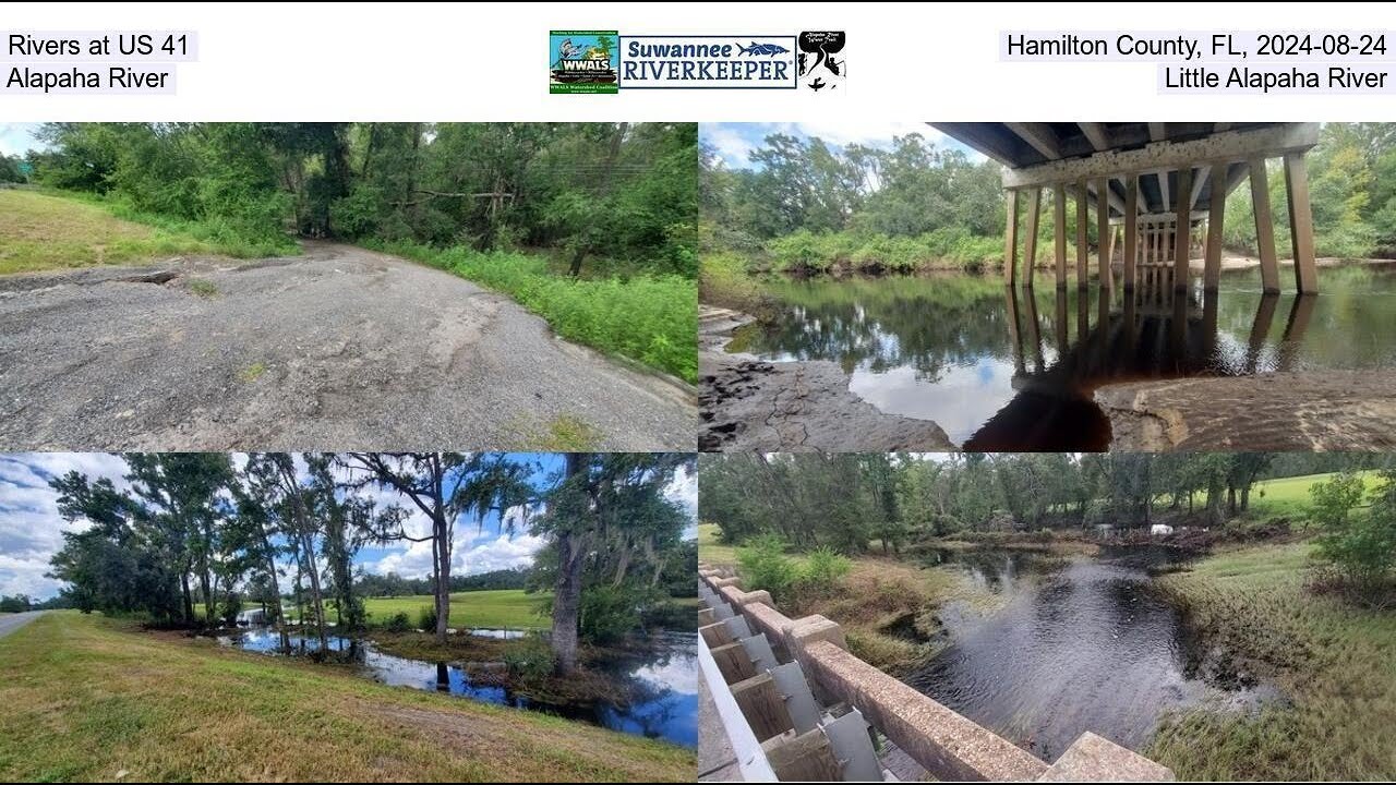 Alapaha and Little Alapaha Rivers at US 41, Hamilton County, FL 2024-08 ...