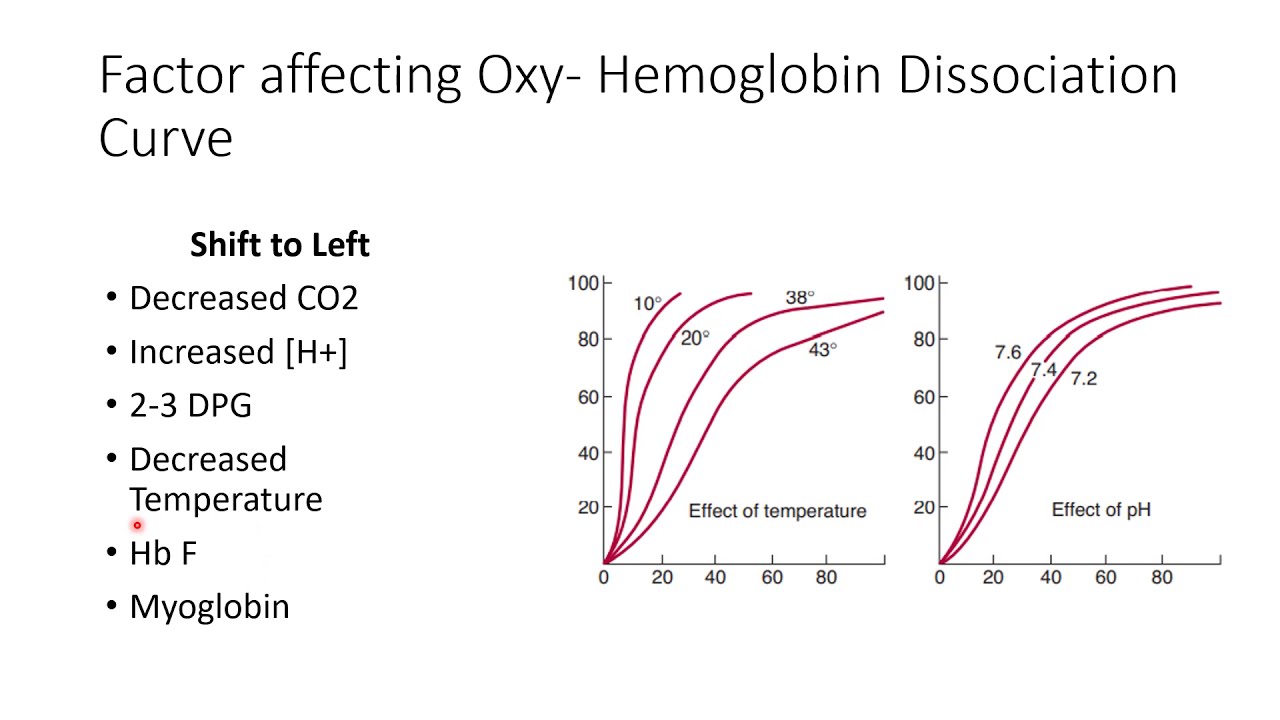 Oxy - Hemoglobin dissociation curve - YouTube