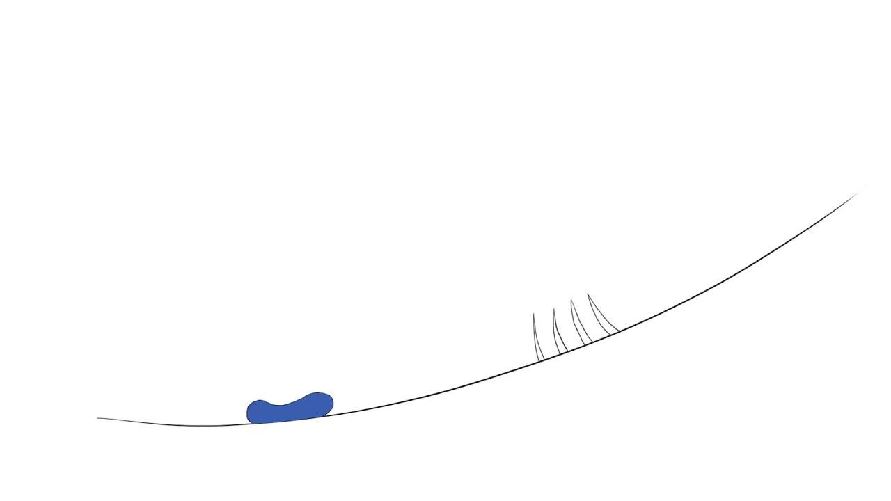 2D Animation - Blow up a balloon - YouTube
