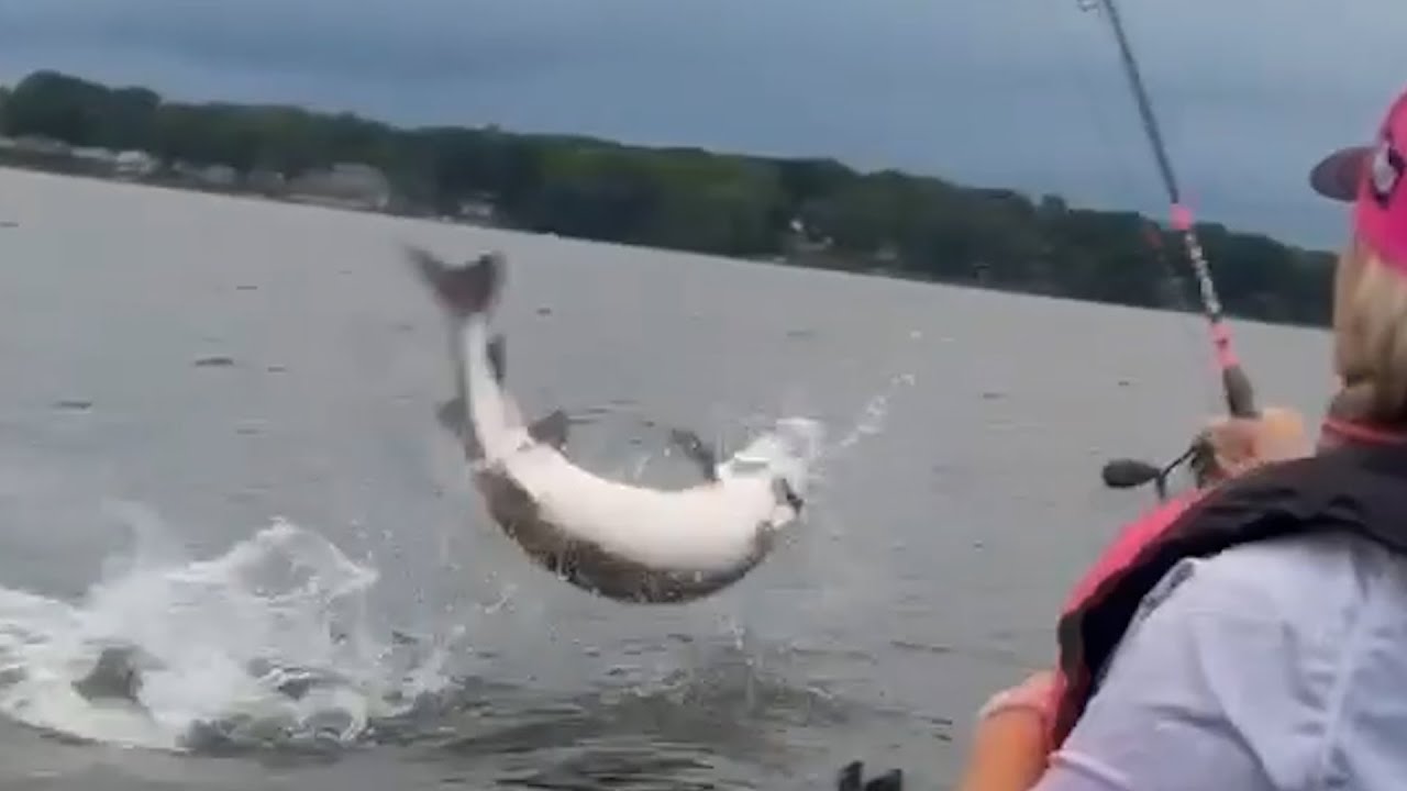 Oneida Lake angler has ‘Jaws moment’ as she battles sturgeon too big ...