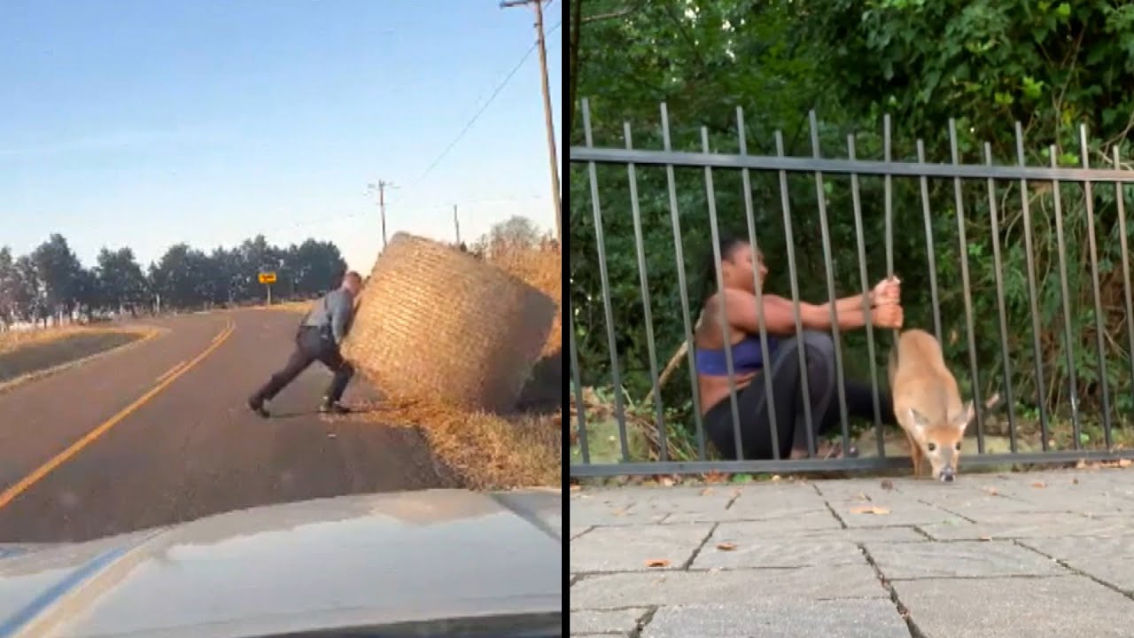 Amazing Feats of Strength - YouTube