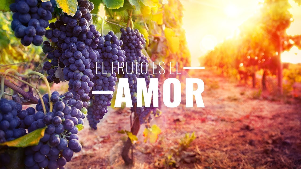 EL Fruto es el Amor - YouTube