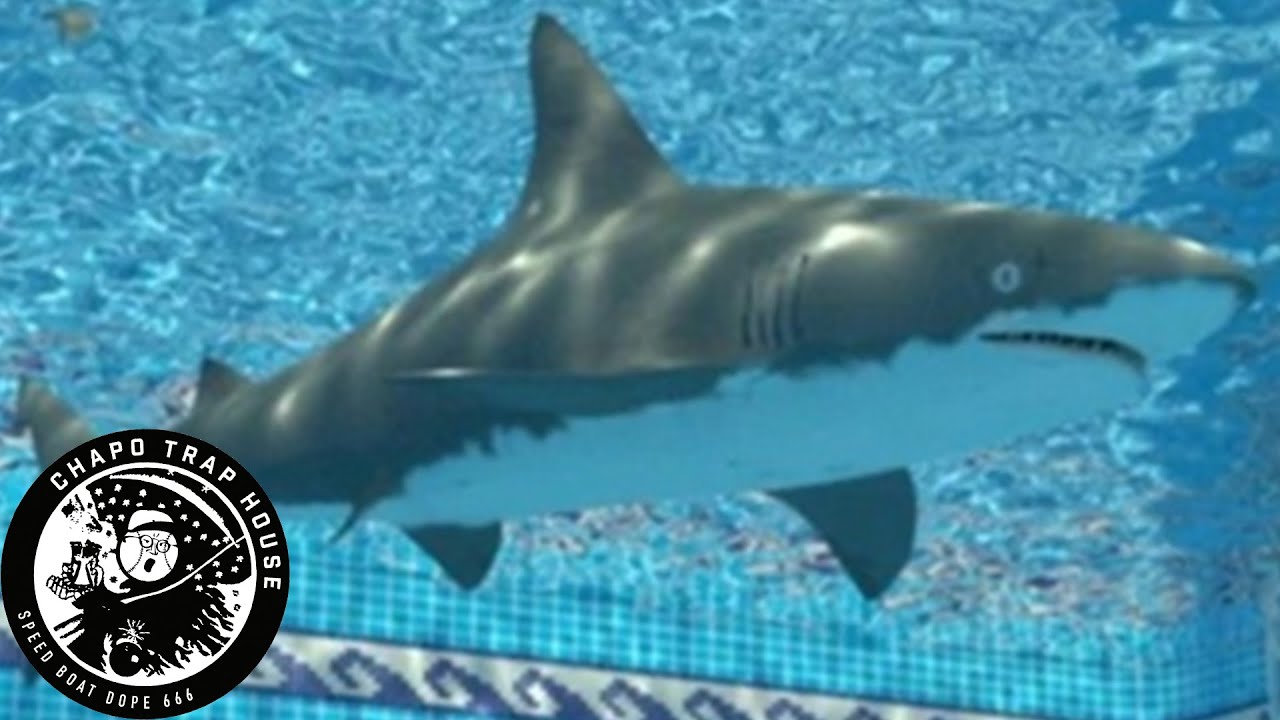 Pool Boys | Chapo Trap House - YouTube