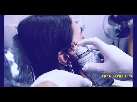 PIERCING DELİMİ tragus piercing uygulama