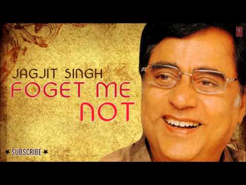 Husn Walon Ka Ehtram Karo Full Audio Forget Me Not - Jagjit Singh Hit Ghazals