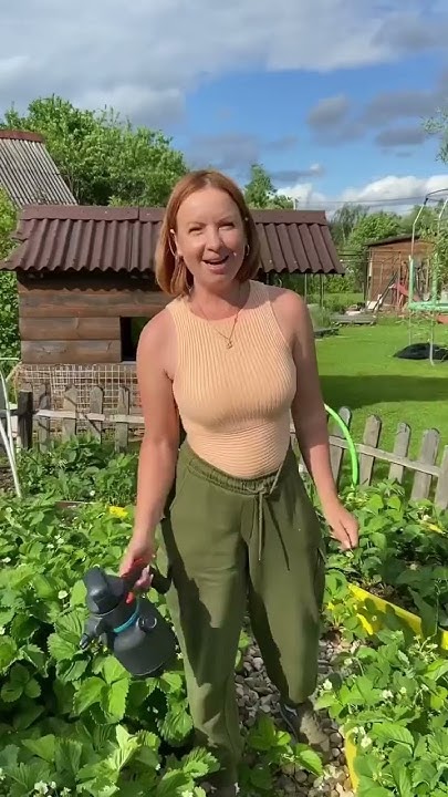 Подкормка для сладкой большой клубники 🍓🍓🍓 - YouTube