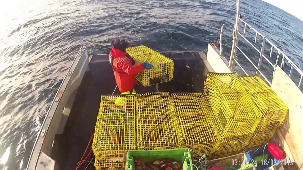 Stacking traps and crew mate getting sea sick - YouTube