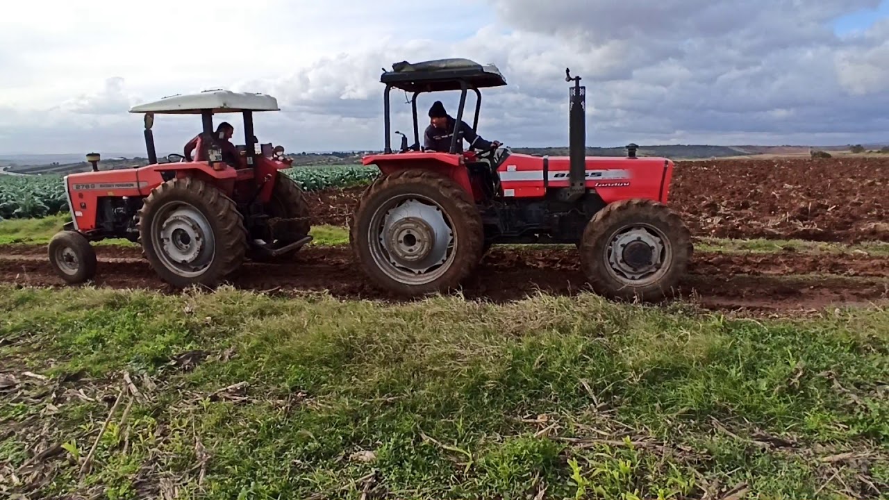massey ferguson 276gold landini 8865 85 hp massey 75 hp - YouTube