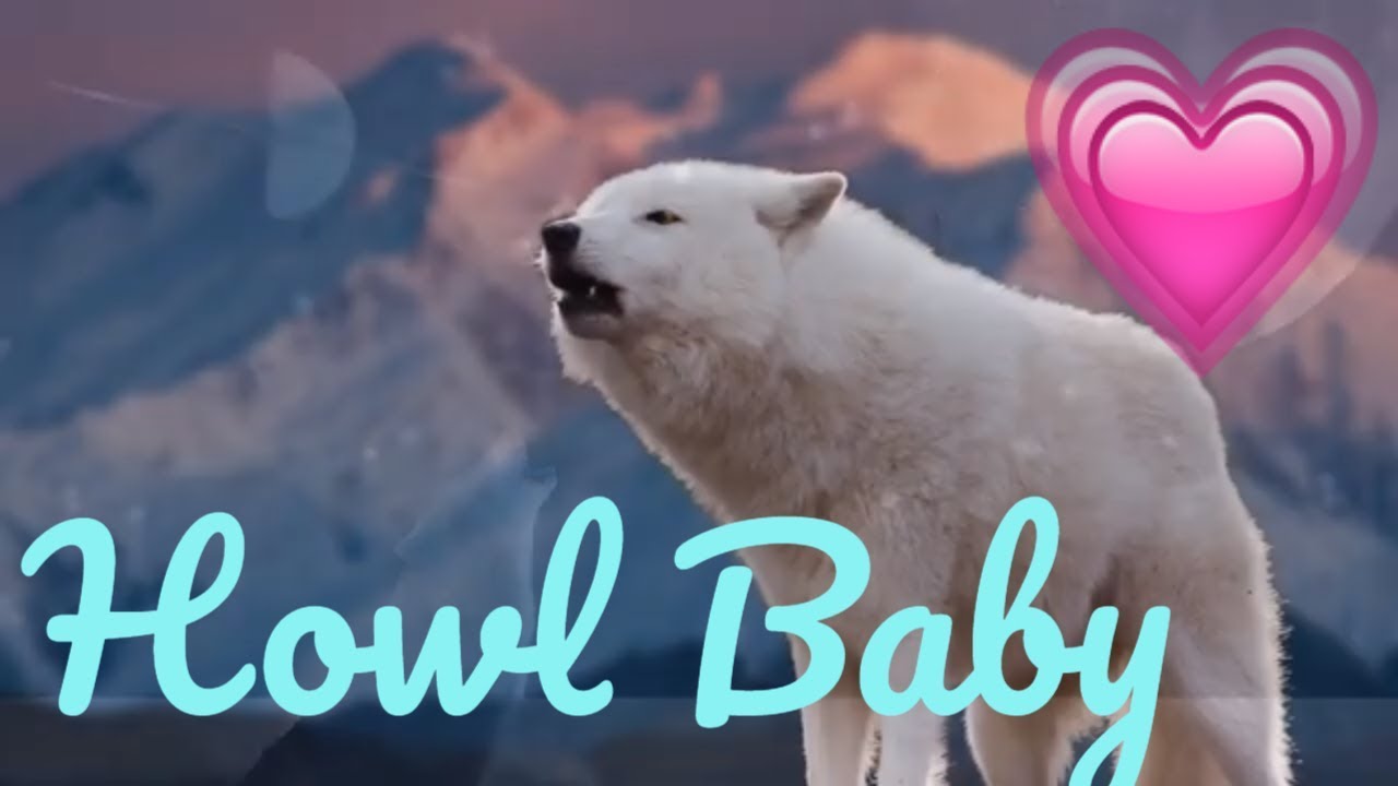 DOGS HOWLING! Sounds That Will Make Your Dog Tilt Their Head! 🌝🌚I ...