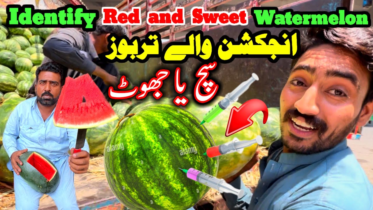 Expert Tips: Identifying Red and Sweet Watermelon Easily - YouTube