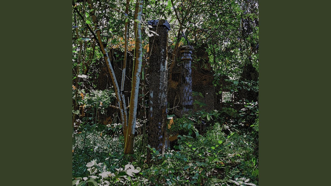 Oi Toli (feat. Bert Cools, Indrė Jurgelevičiūtė, Jean-Christophe Bonnafous & Jauna Muzika ...