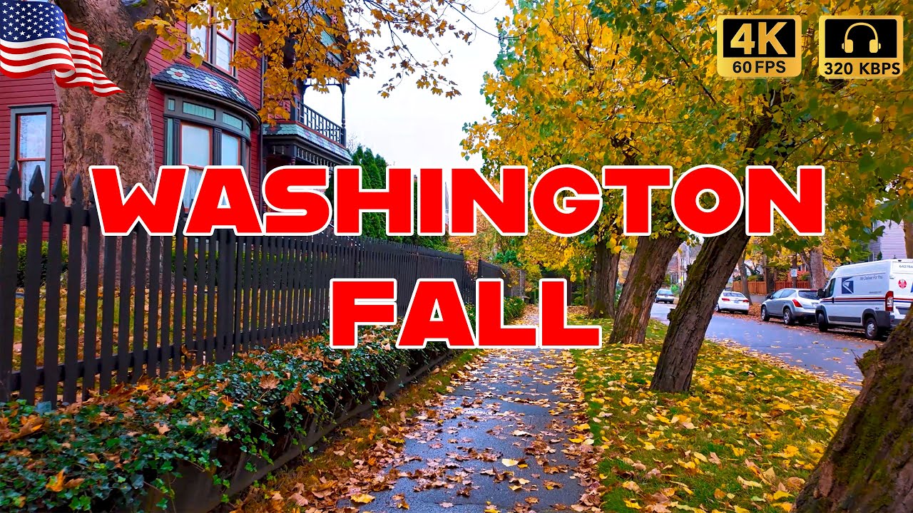 Downtown Seattle Fall Walking | Travel Walking Tour Seattle 4K ...