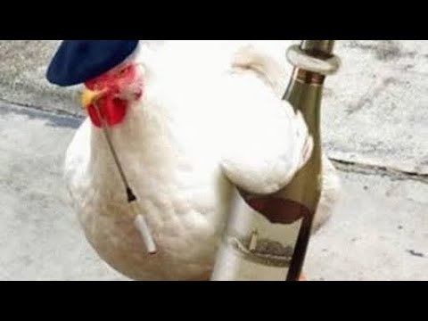 Scp Simulator Parte 2/Evil Chicken Parte 1 -Gaming - YouTube