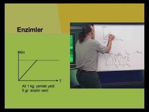 Ygs Biyoloji | Enzimler - 2