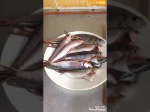 Fried fish piniritong dalagang bukid na isda sariwa - YouTube