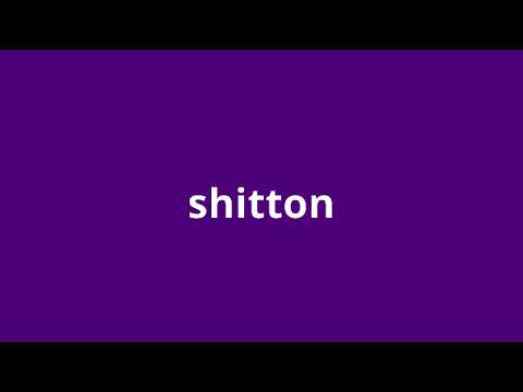 what is the meaning of shitton. - YouTube