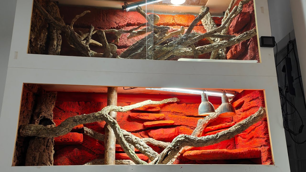 Outback Themed Vivariums, For Australian Dwarf Monitor Lizards ...