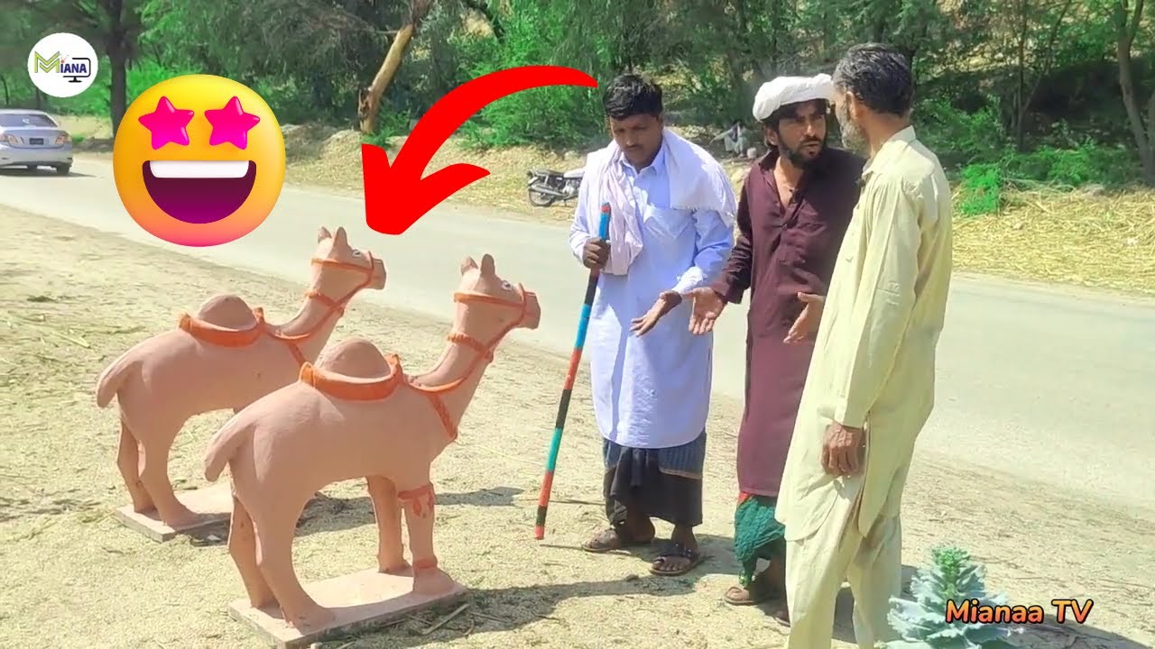 Melay Wala Sindhi Oont || Finding The Perfect Sindhi Camel || Miana Tv ...