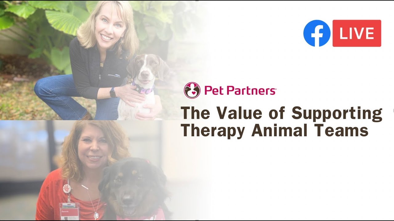 The Value of Supporting Therapy Animal Teams | Pet Partners - YouTube
