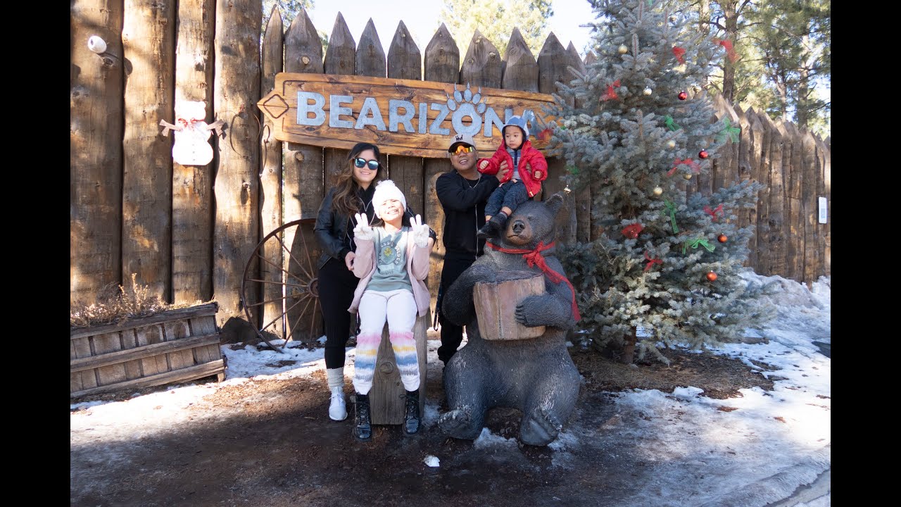 BEARIZONA Drive-Walk Thru Wildlife Park in Arizona - YouTube