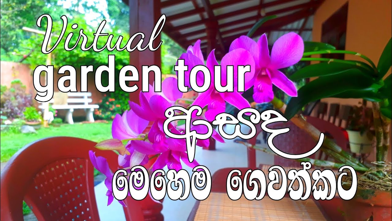 මගේ අසිරිමත් ගෙවත්ත / Virtual fairy garden tour/flower gardening/front ...