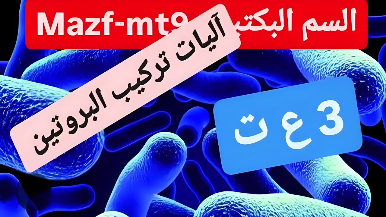 تأثير سم Mazf-mt9 على تركيب البروتين عند البكتيريا💯 وحدة آليات تركيب البروتين💯السنة الثالثة ...