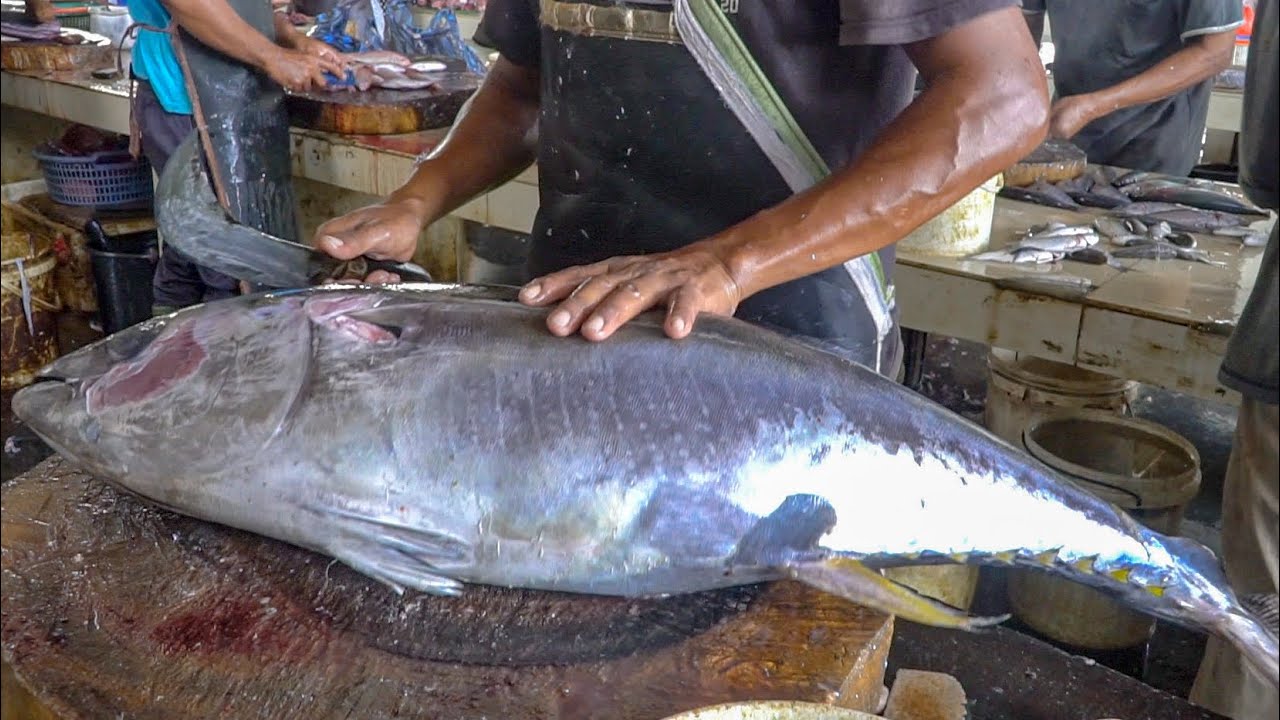 DARNE TYPE CUTTING 2023 || PERFECT TUNA FISH CUTTING SKILLS - YouTube