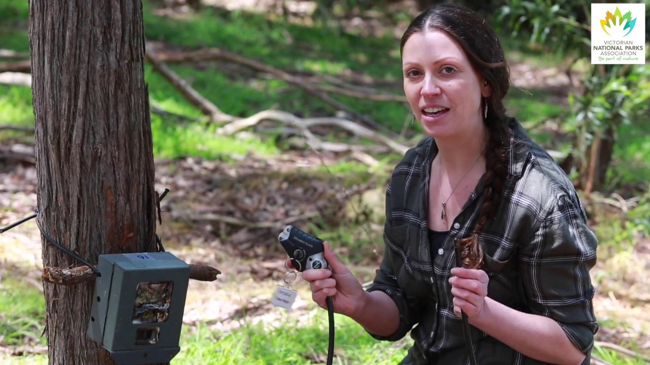 NatureWatch Wildlife Monitoring Camera Setup Video - YouTube