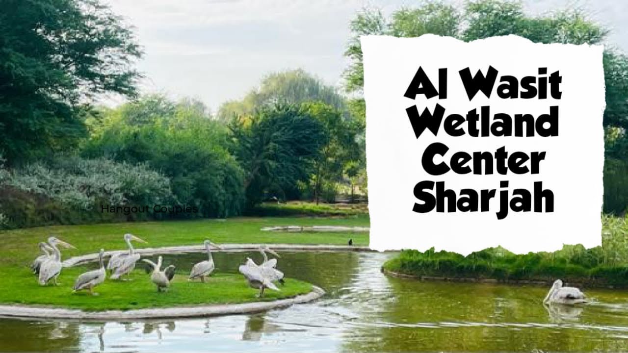 Al Wasit Wetland Center | Sharjah - YouTube