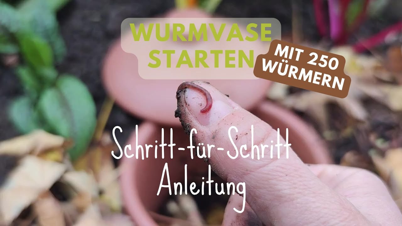 Wurm Im Hochbeet