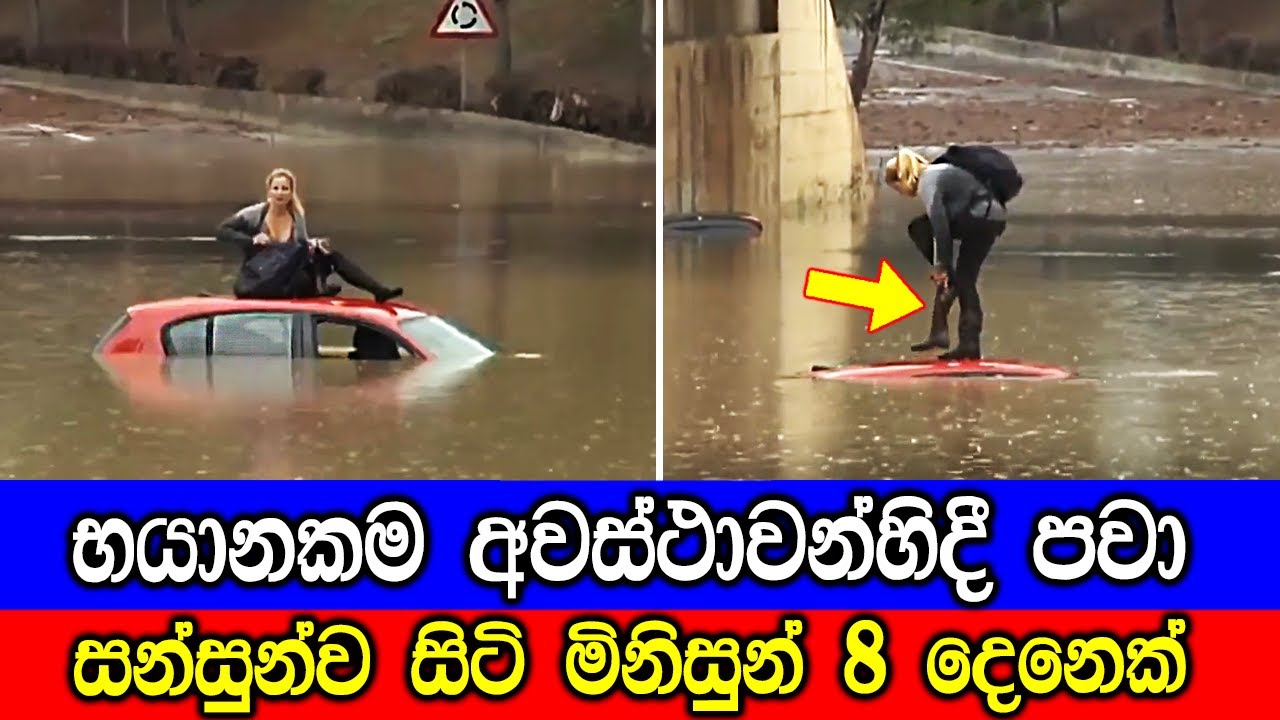 භයානක අවස්තාවන්හීදී පවා සන්සුන්ව සිටි මිනිසුන්. | Are These the Most ...