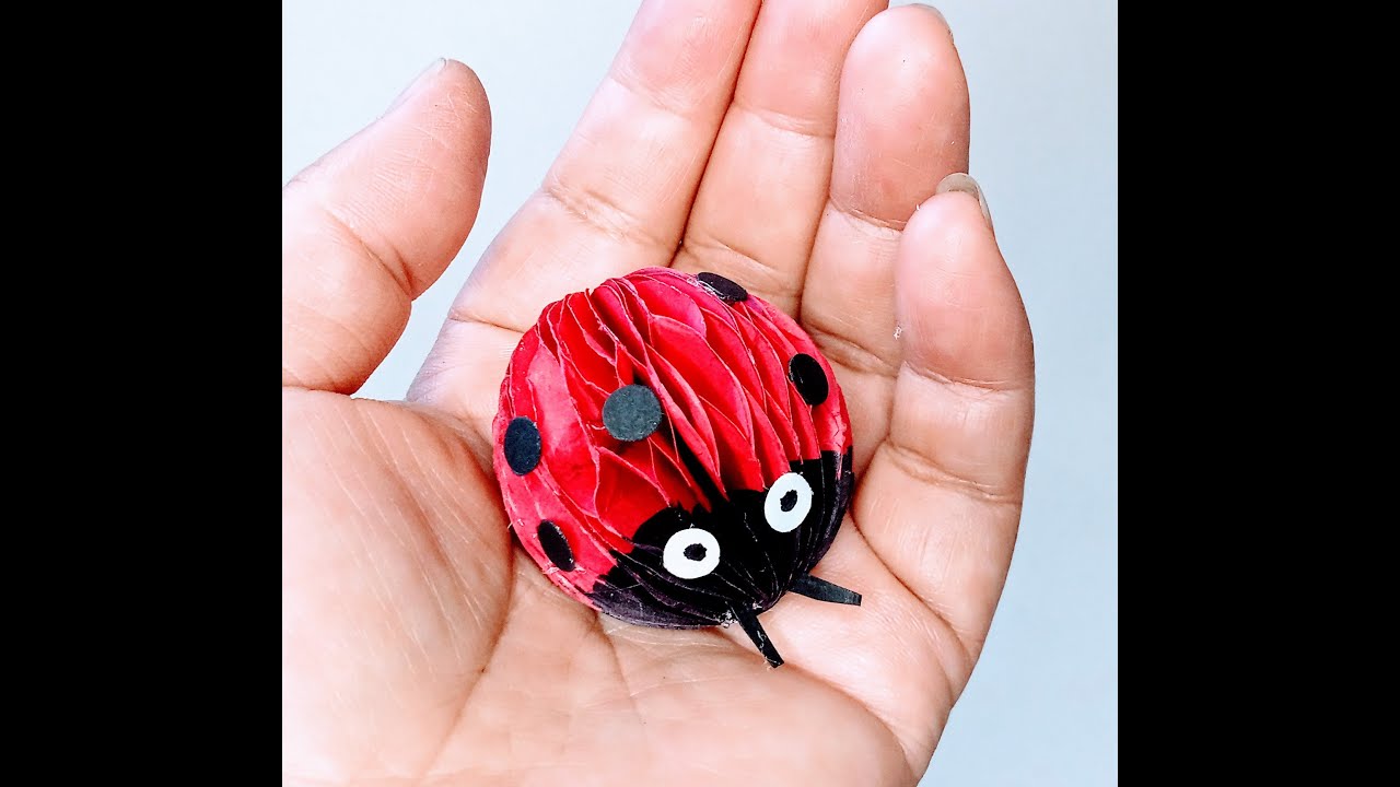 How to make a paper ladybug/color copy paper craft - YouTube