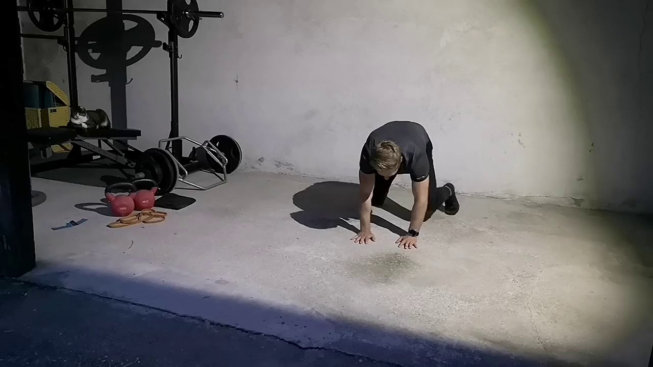 BEAR PLANK SIDE WALK - YouTube
