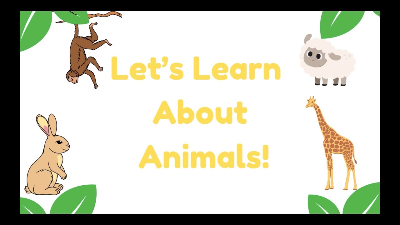 Let’s Learn About Animals! -Toddler Learning- Preschool Kids ...