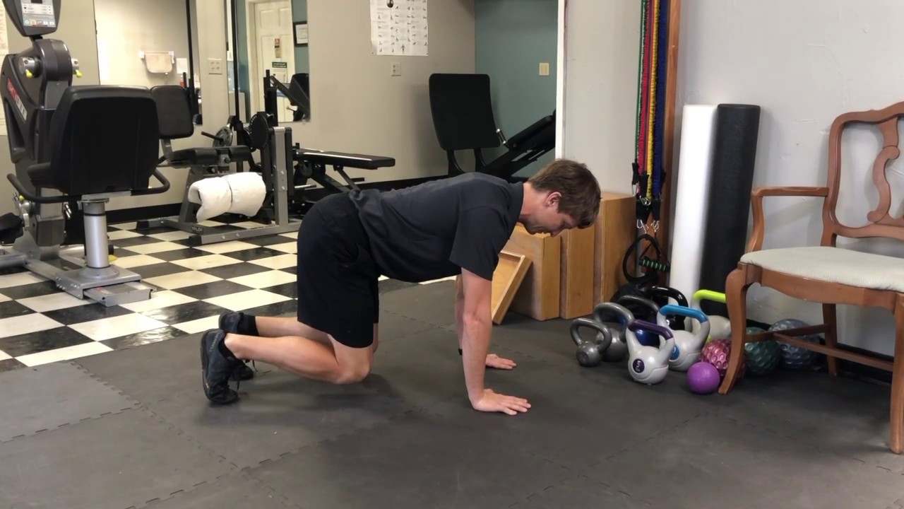 Quadruped Exercise Progression