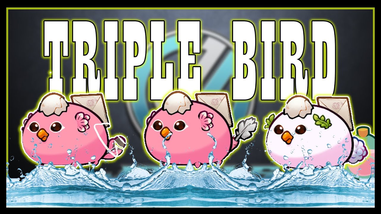 TRIPLE BIRD | AXIE INFINITY ORIGIN | DAY 1 | SEASON 0 - YouTube