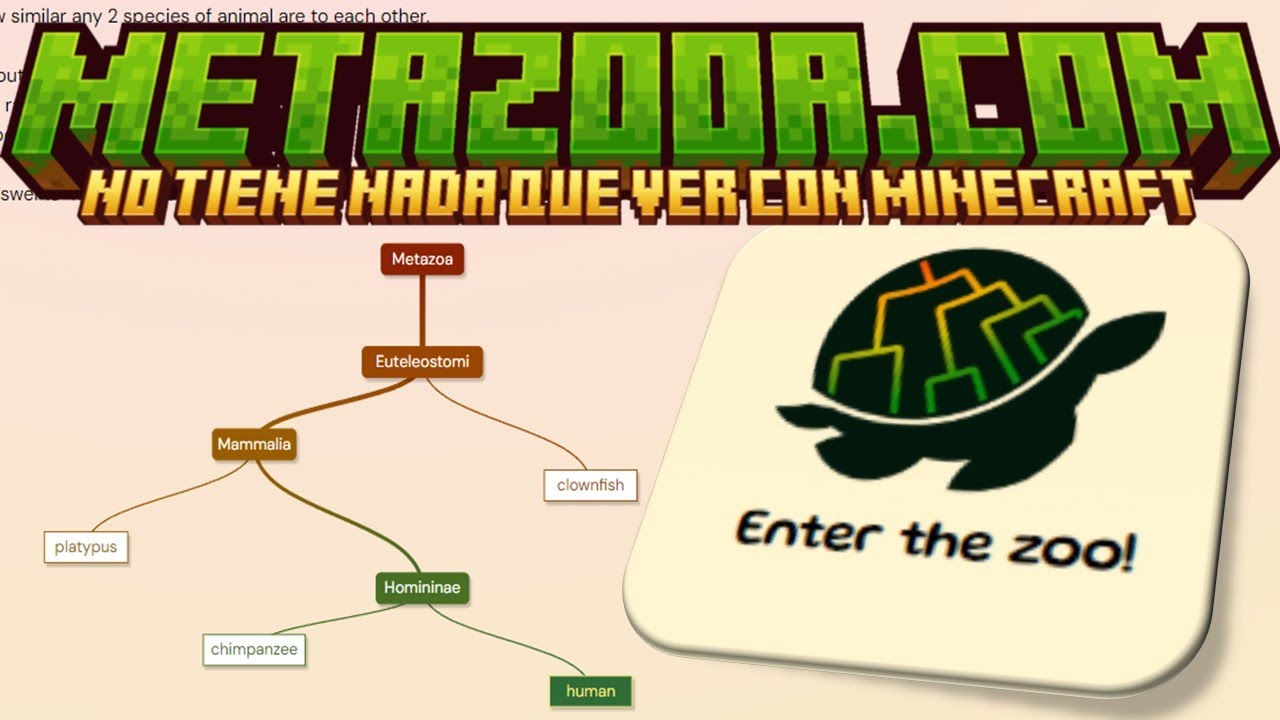 Metazooa.com - El Árbol de la vida interactiva - Video Random - YouTube