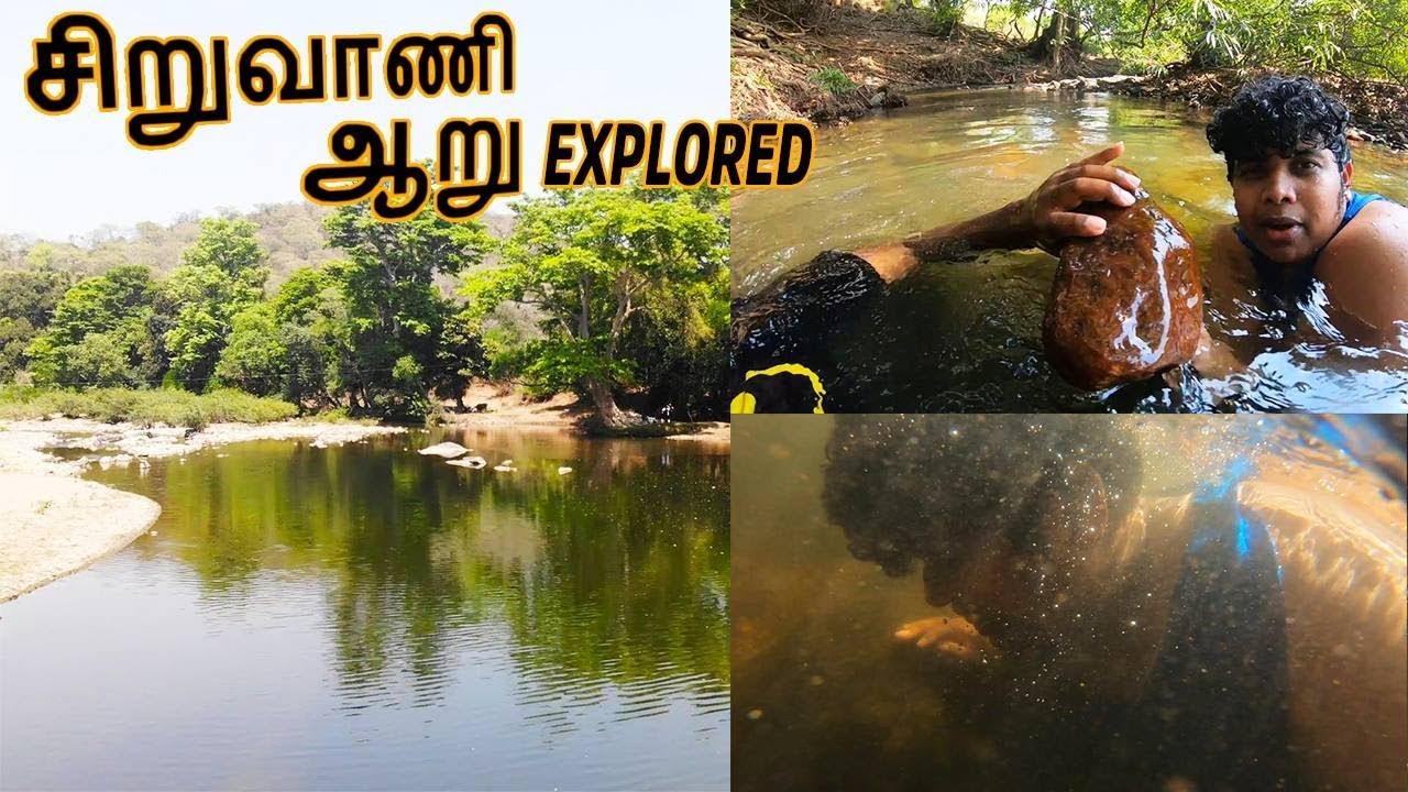 Swimming in Siruvani River - Coimbatore - SR Jungle Resort - YouTube
