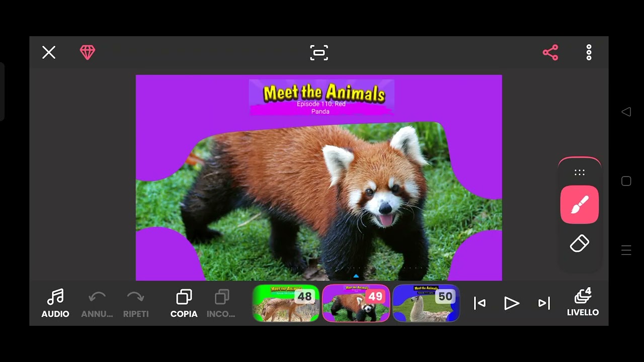 Little Fox Meet the Animals 6 - YouTube