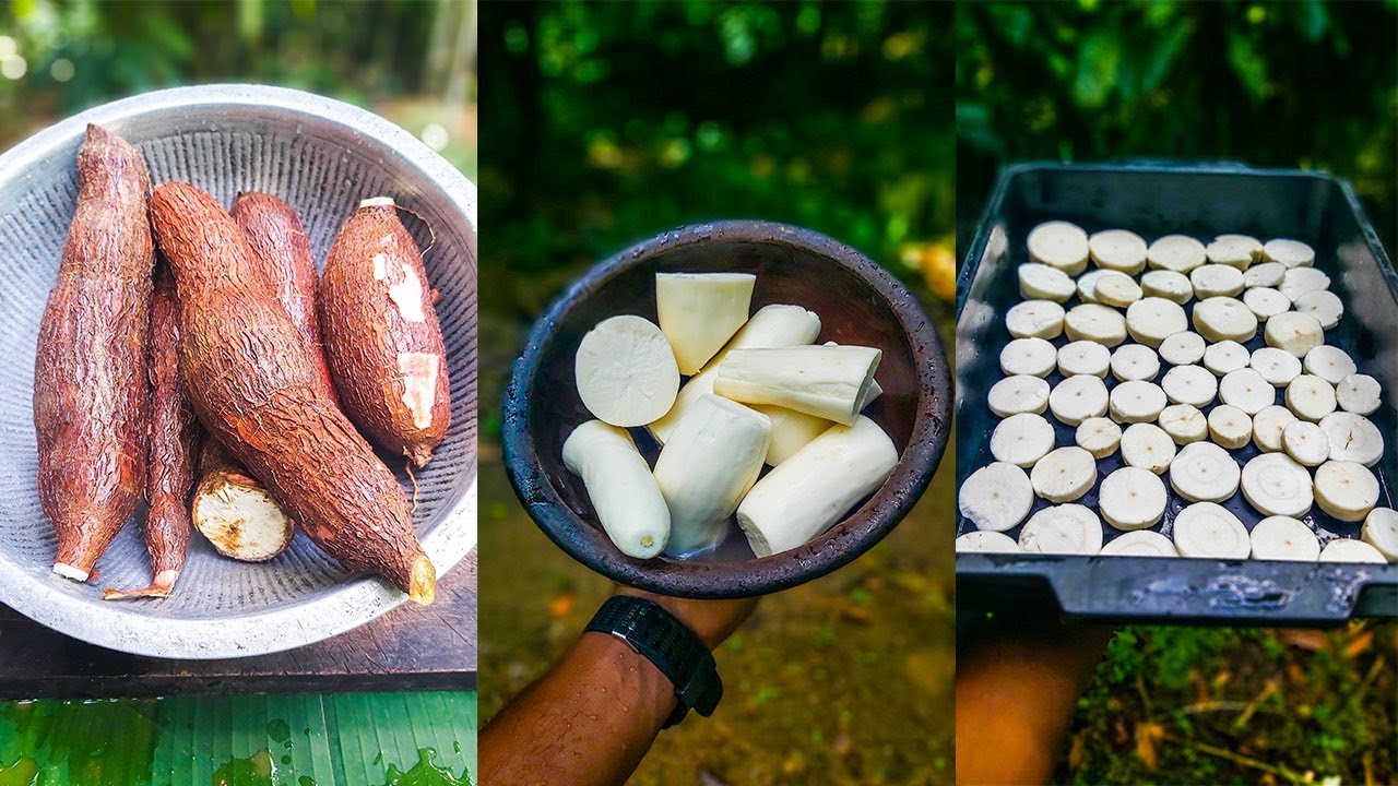 The Process Before Drying the Cassava in the Sun - YouTube