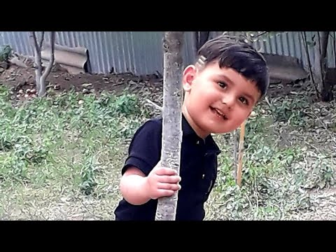 Camal Aşiq - Davud Balam (Ad Günü) 2025