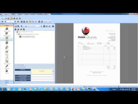 PSICapture 4.6: PDF Text to Field