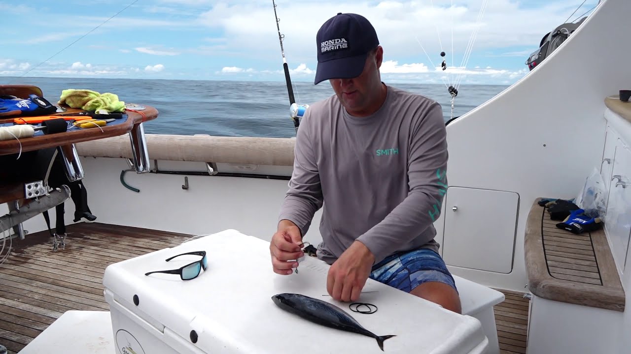 LIVE BAIT BRIDLE RIG - YouTube