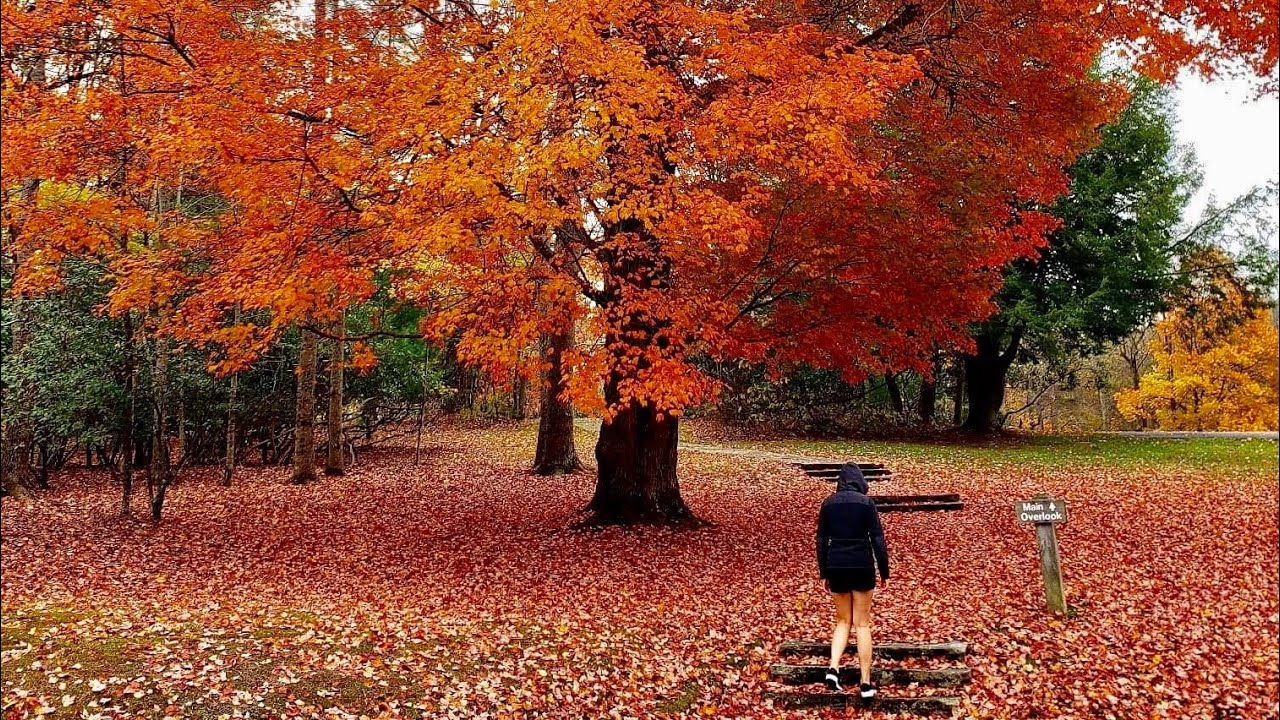 Fall colors in West Virginia, USA - YouTube